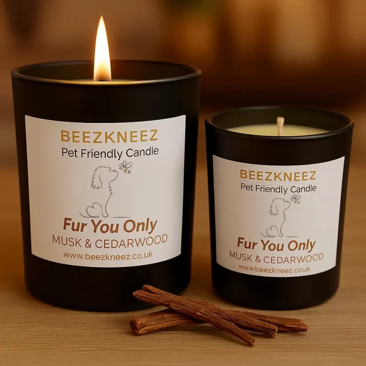 Fur You Only (Musk & Cedarwood) Pet Friendly Candle